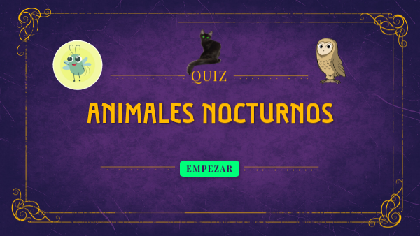 ANIMALES NOCTURNOS