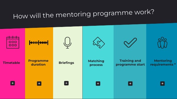 Final mentoring programme - how will it work?