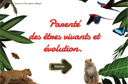 3e-Evolution et parenté | Genially