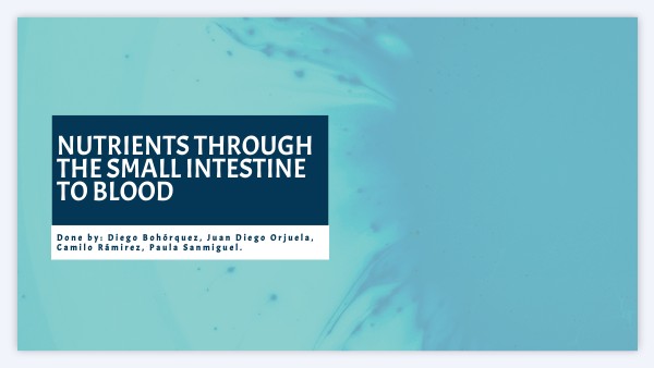 NUTRIENTS THROUGH THE SMALL INTESTINE TO BLOOD