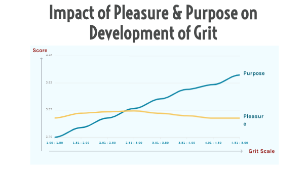 Purpose & Pleasure