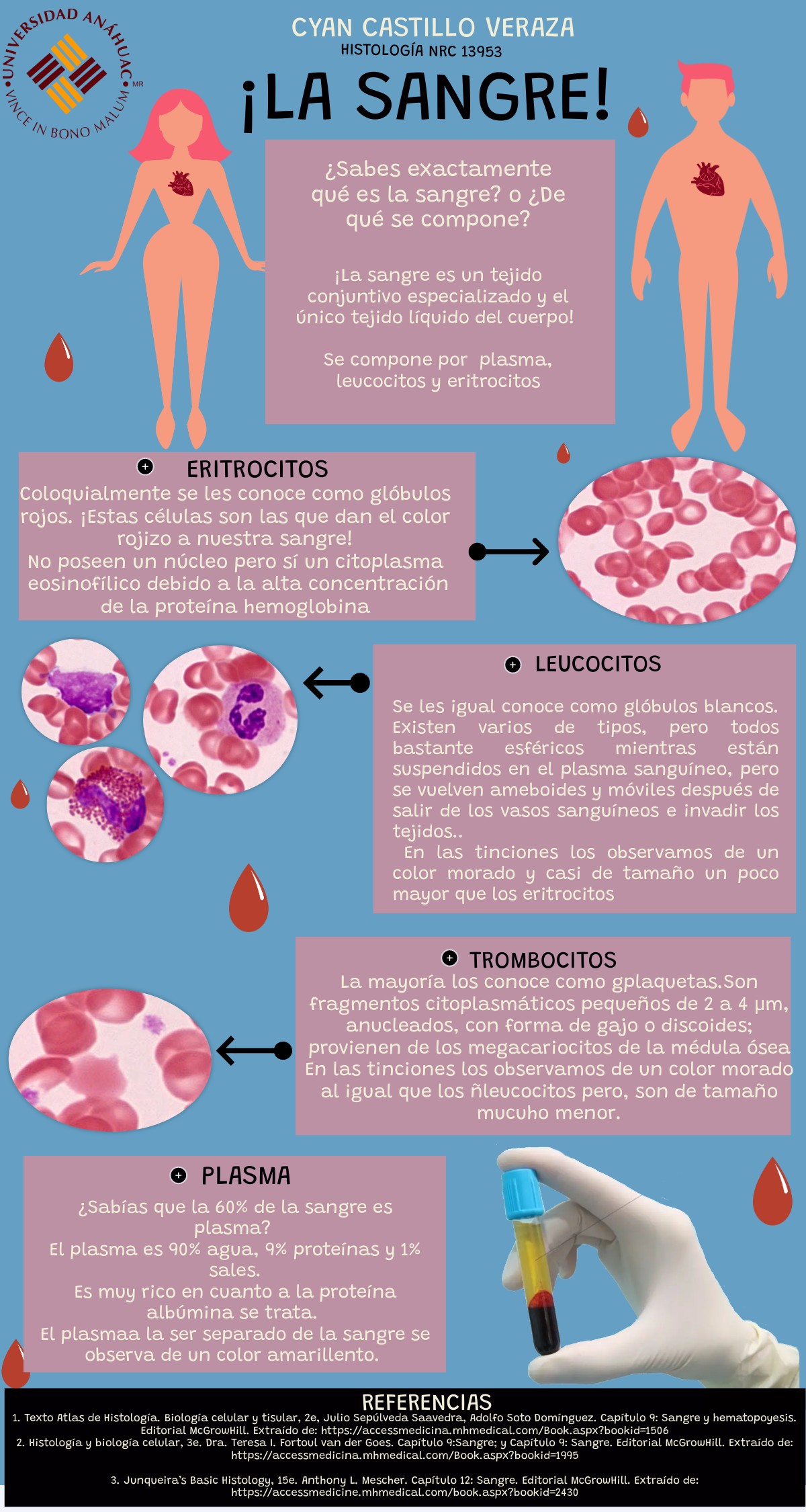 INFOGRAFÍA SANGRE HISTO | Genially