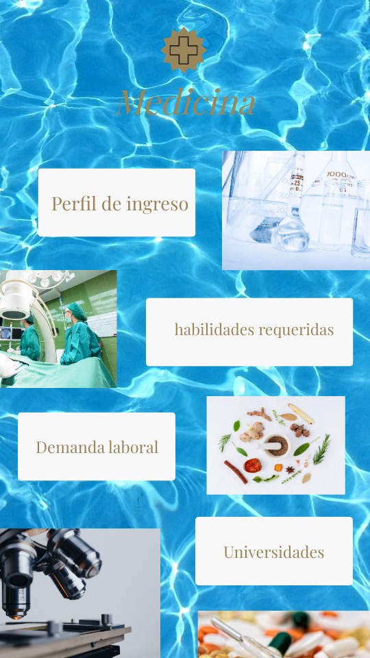 MEDIA KIT DOSSIER MOBILE