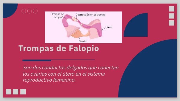 TROMPAS DE FALOPIO | Genially