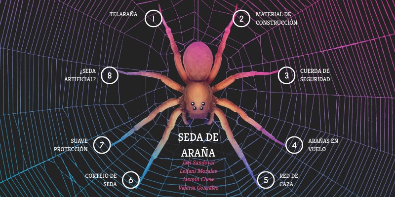 SEDA DE ARAÑA | Genially