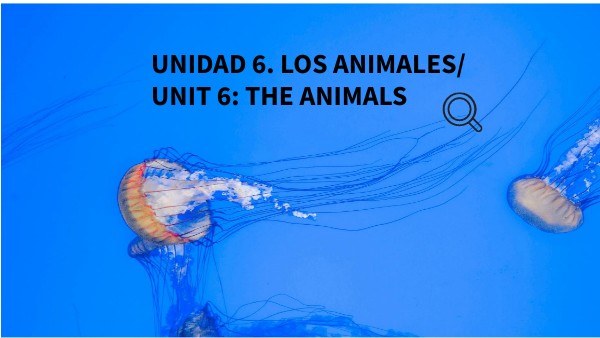 LOS ANIMALES 1º ESO