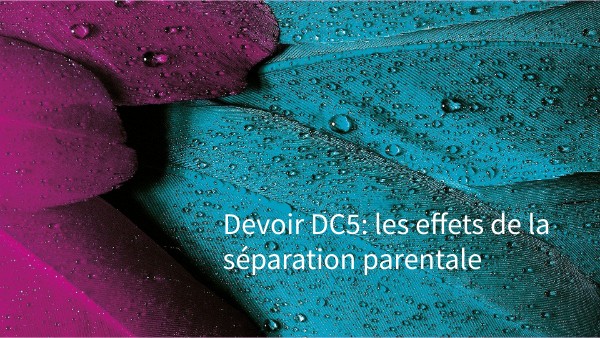 Correction devoir DC5 Les effets de la séparation | Genially