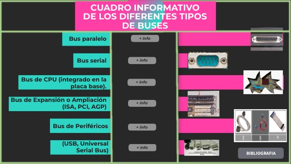 cuadro informativo de los diferentes tipos de buses | Genially