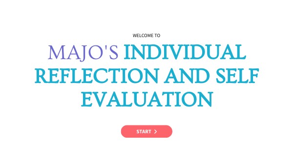Majo Brito - Individual Reflection and Self Evaluation