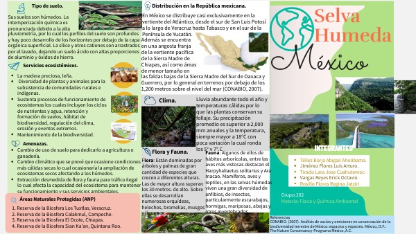 Selva Humeda de México | Genially