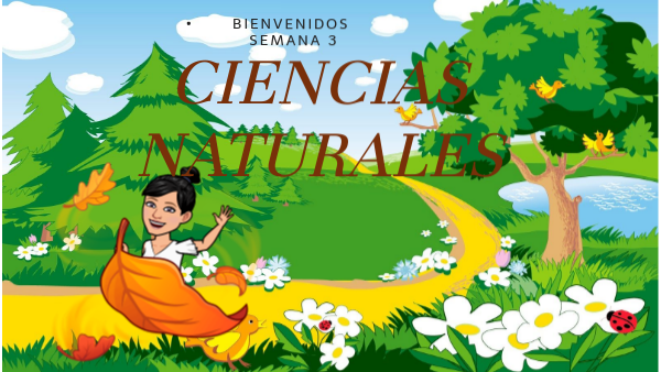 La semilla | Genially