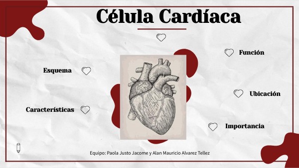 Célula Cardíaca | Genially