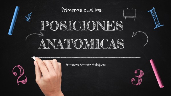 POSICIONES ANATOMICAS