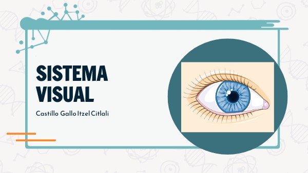 SISTEMA VISUAL | Genially