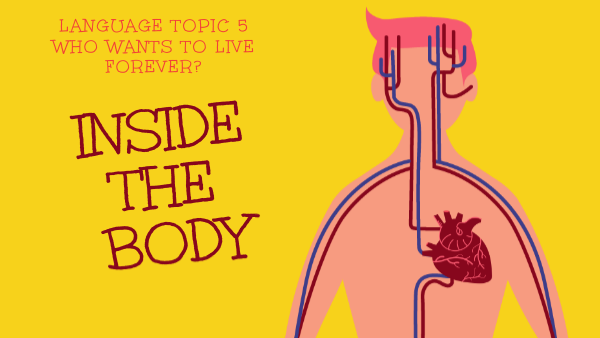 Inside the body | Genially