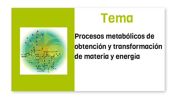 Procesos metabólicos Az Biología III | Genially