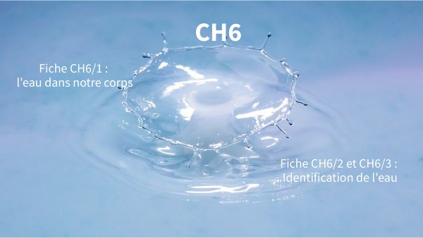 CH6 Documents | Genially