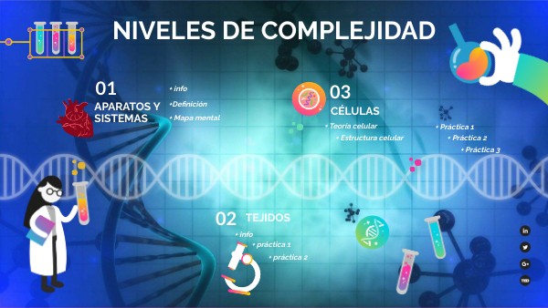 NIVELES DE COMPLEJIDAD