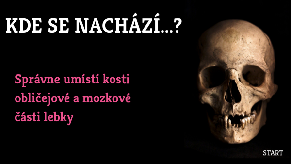 LEBKA - poznávačka | Genially