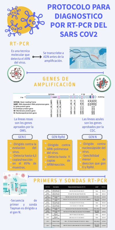 DIAGNÓSTICO POR RT-PCR DEL SARS COV2 | Genially