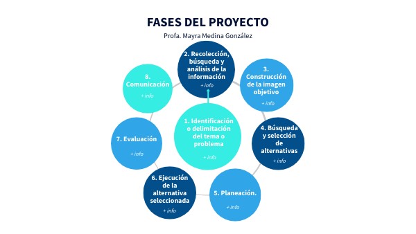 FASES DEL PROYECTO