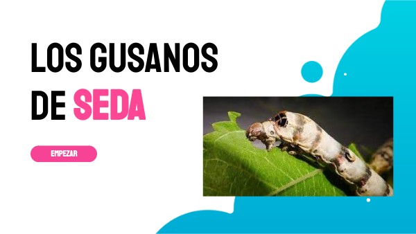 LOS GUSANOS DE SEDA | Genially