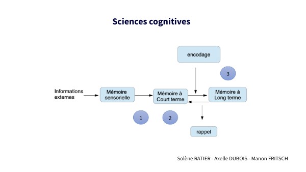 Sciences Cognitives | Genially