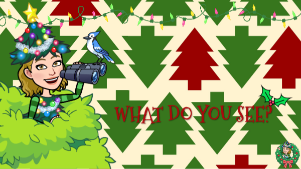 CHRISTMAS VOC What do you see? 1st and 2nd grade
