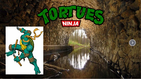Tortue Ninja