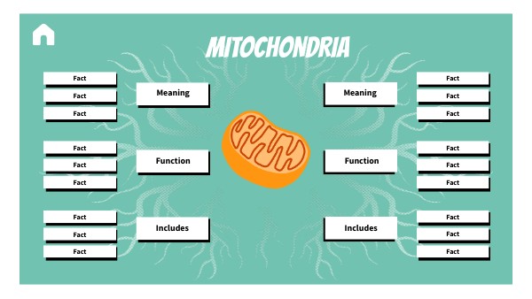 MITOCHONDRIA MINDMAP