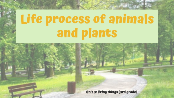 life process animals and plants (unit 3) | Genially