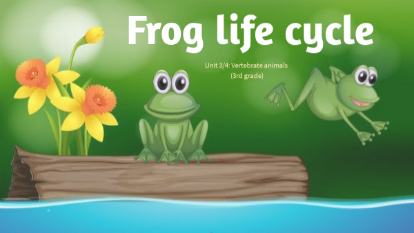 Frog life cycle (3rd grade) | Genially