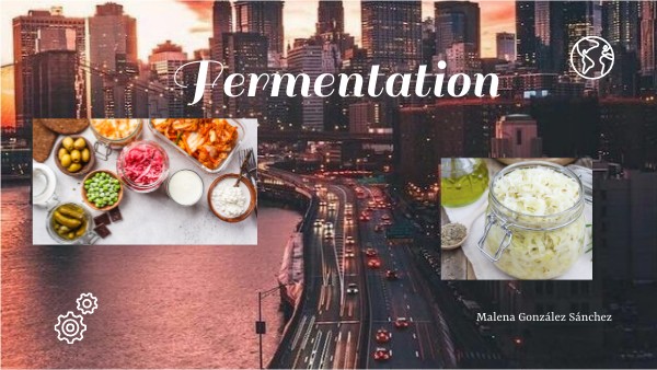Fermentation