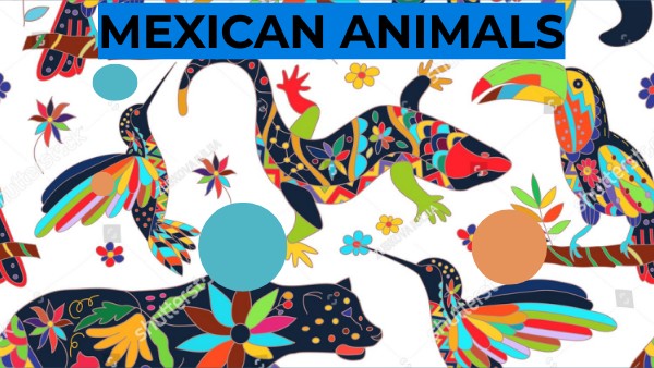MEXICAN ANIMALS