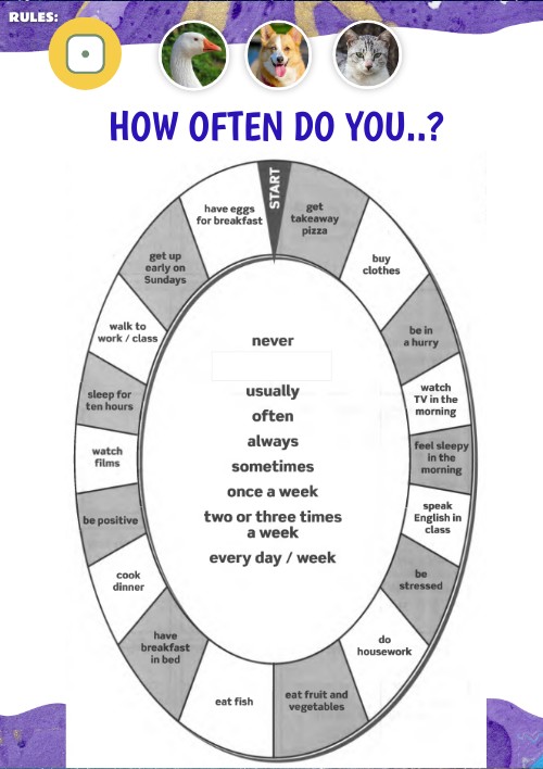 How often | Genially