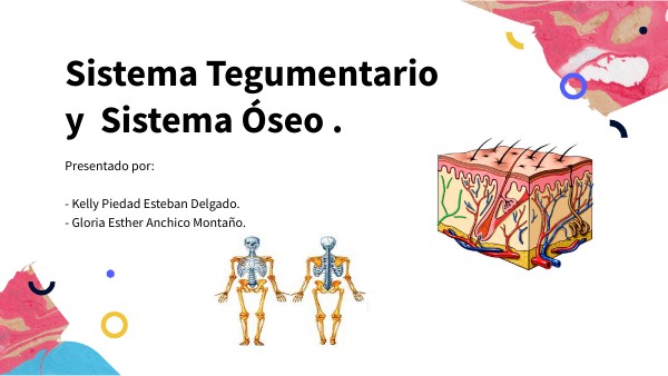 SISTEMA TEGUMENTARIO Y ÓSEO | Genially
