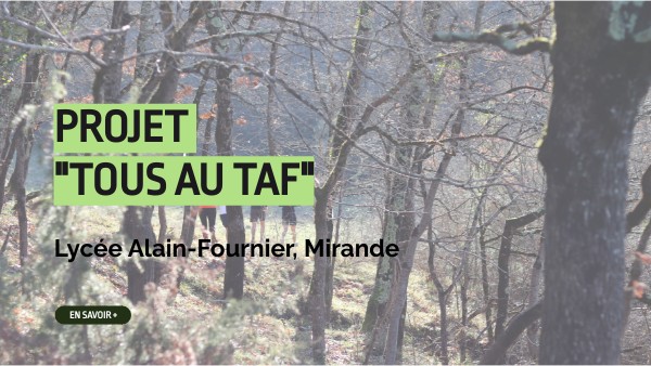 Projet TAF 2021 | Genially