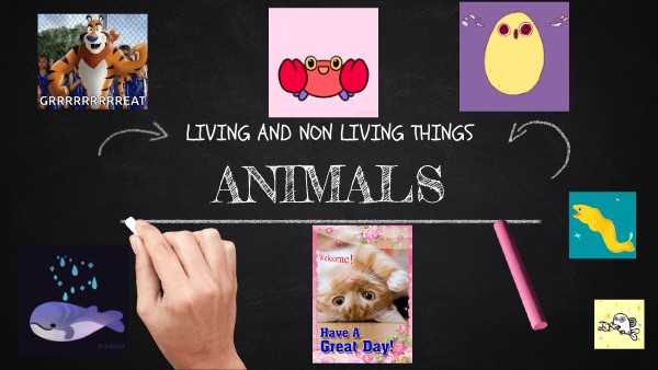 LIVING THINGS, ANIMALS