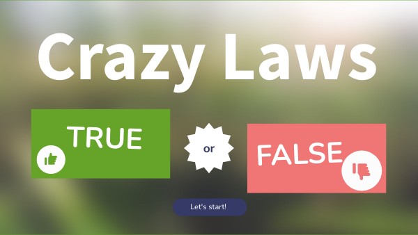 Crazy Laws | Genially