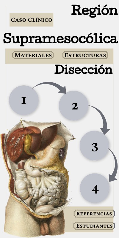 Región Supramesocólica