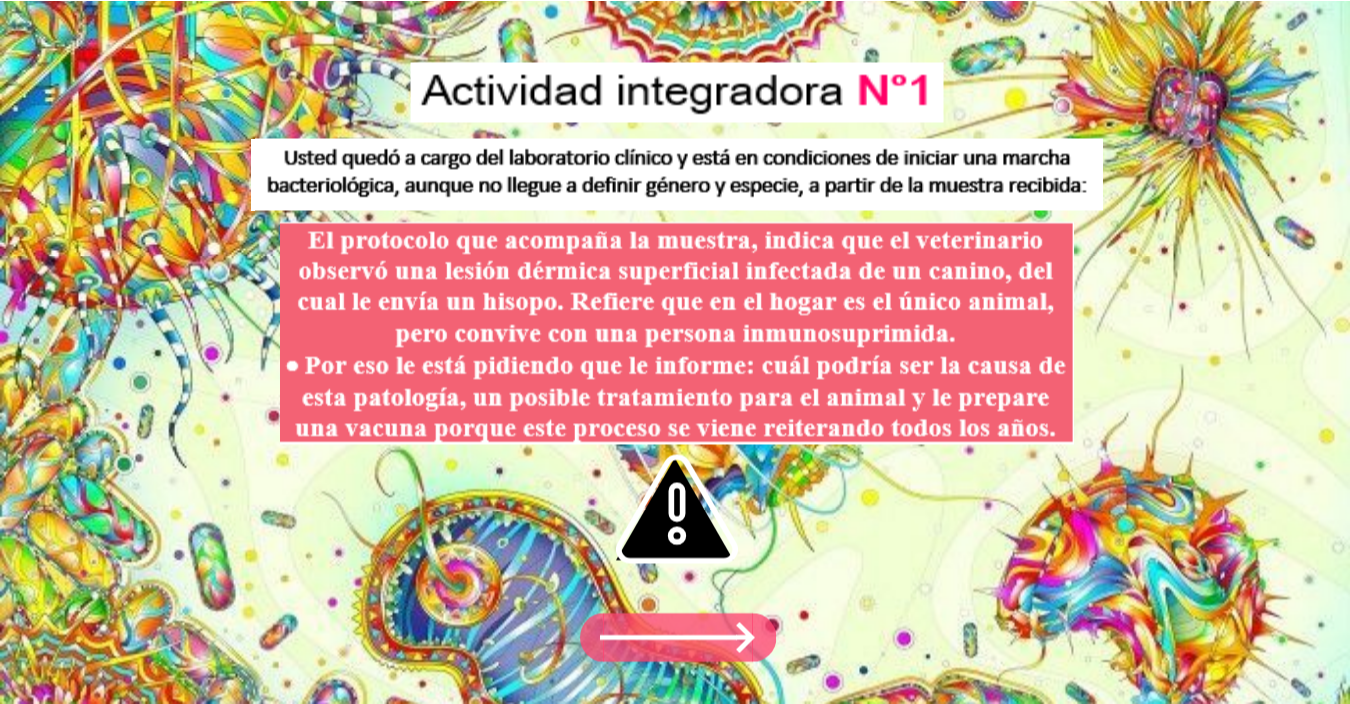Actividad integradora N°1 | Genially