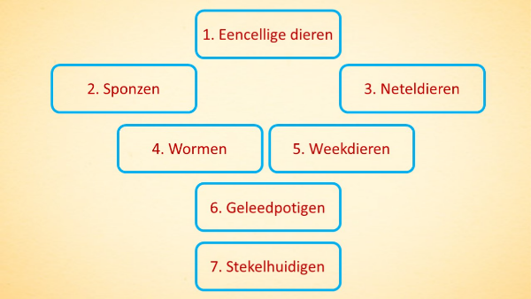 Kenmerken ongewervelde dieren | Genially