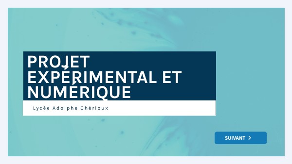 Présentation projet expérimental et numérique 1G3 | Genially