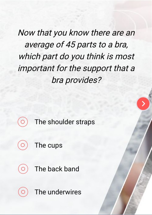 OLD - Components of a bra