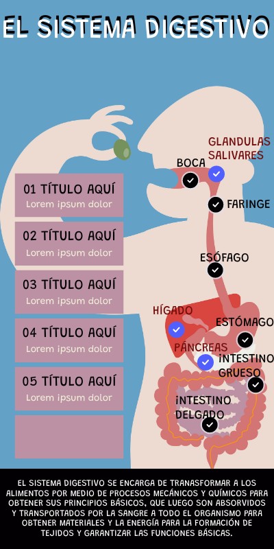 INFO VERTICAL DIGESTIVO