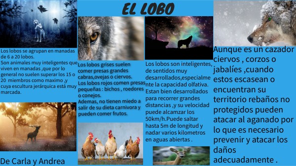 los lobos
