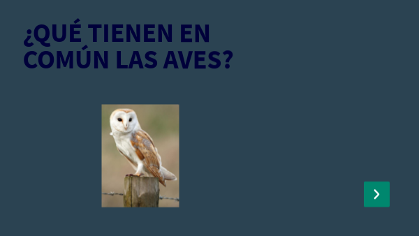 AVES | Genially