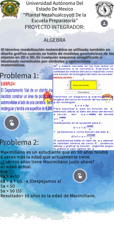 PROYECTO INTEGRADOR. algebra
