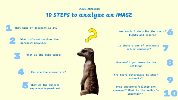 IMAGE ANALYSIS PARAKEET