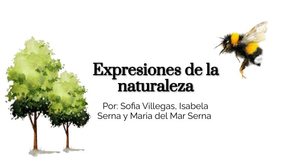Proyecto final - Sofia Villegas, Isabela Serna y Maria del Mar Serna